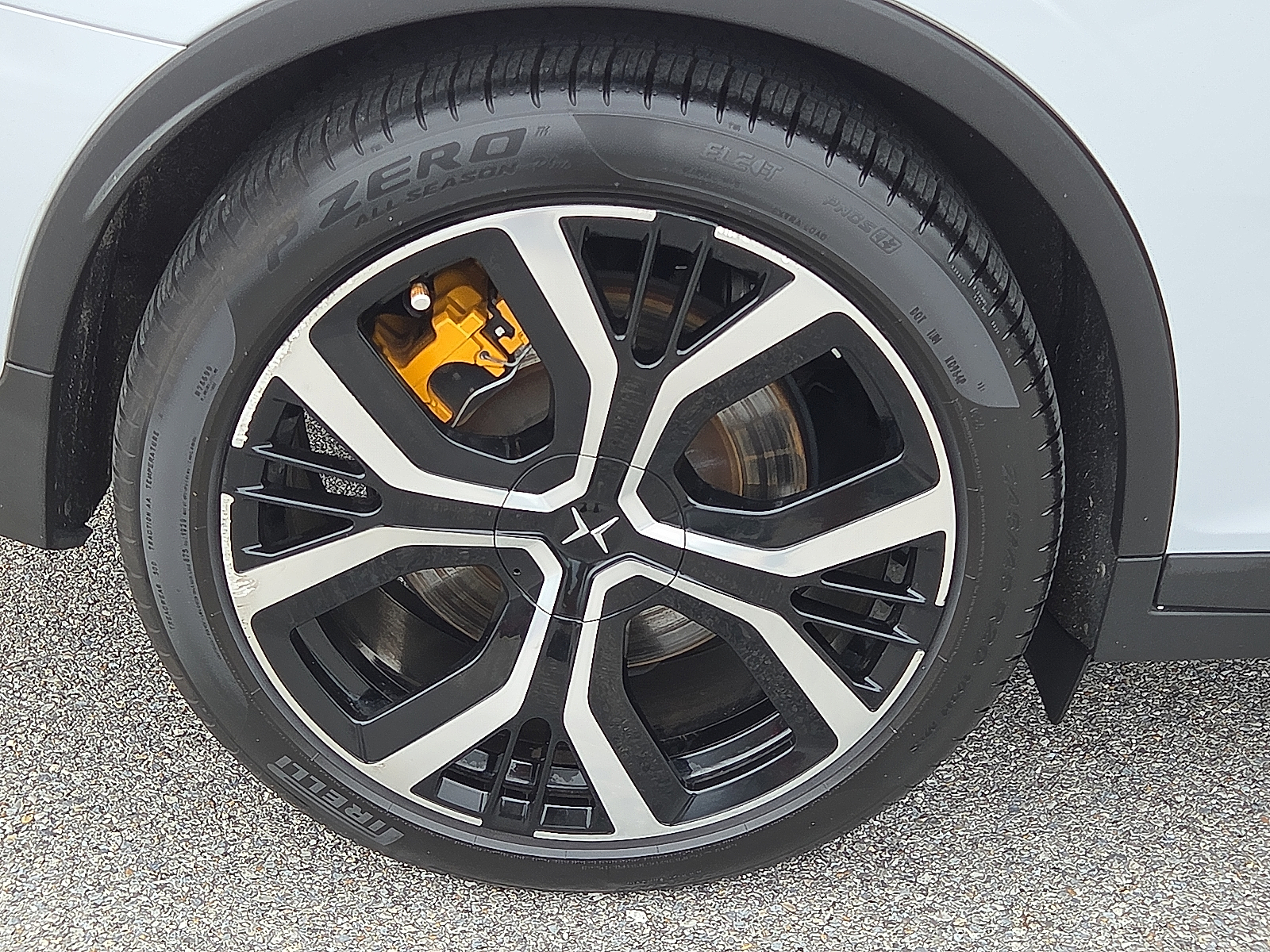 2021 Polestar 2 | Star Shopper NWA